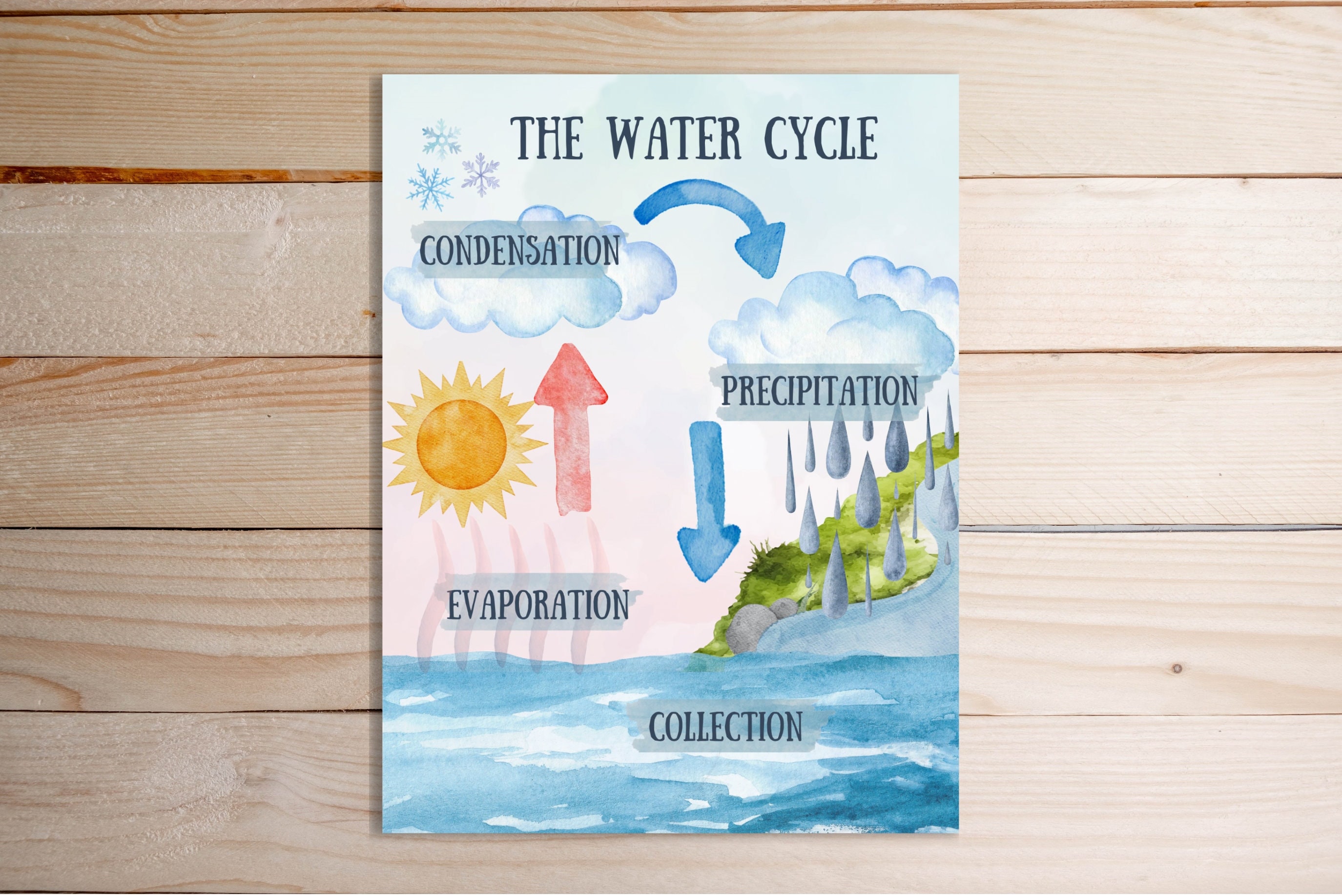 Water Cycle Printable Diagram - Etsy