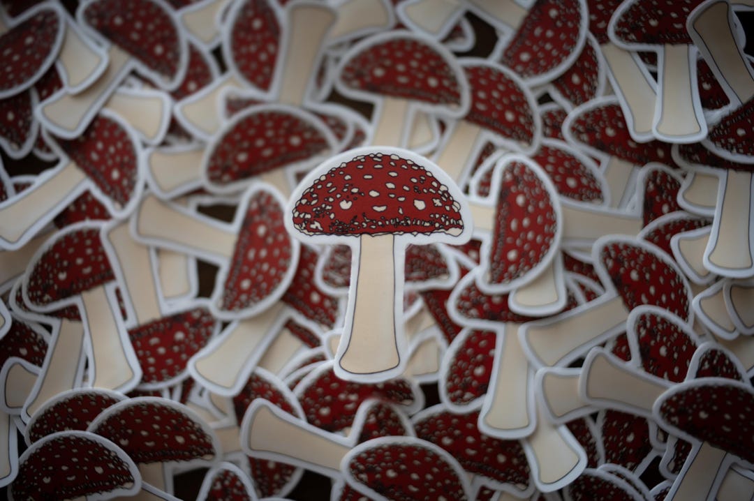 Red Mushroom Sticker – Vinyl Weatherproof Toadstool Decal - Etsy