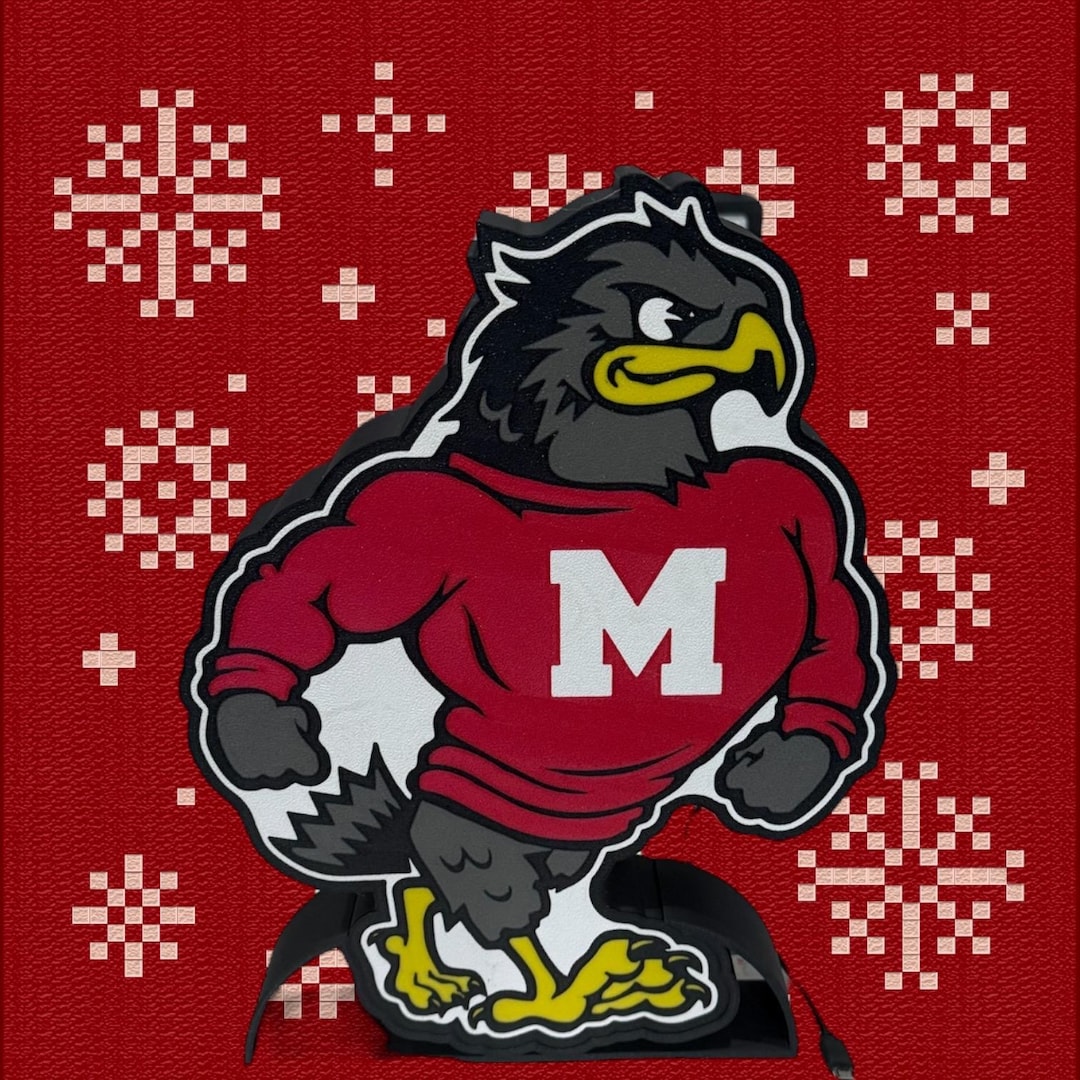 Minford Falcon 3-D Printed Lightbox - Etsy