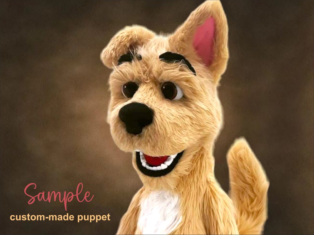 Professional Hand Puppet Custom Made to Your Specifications Made to ...