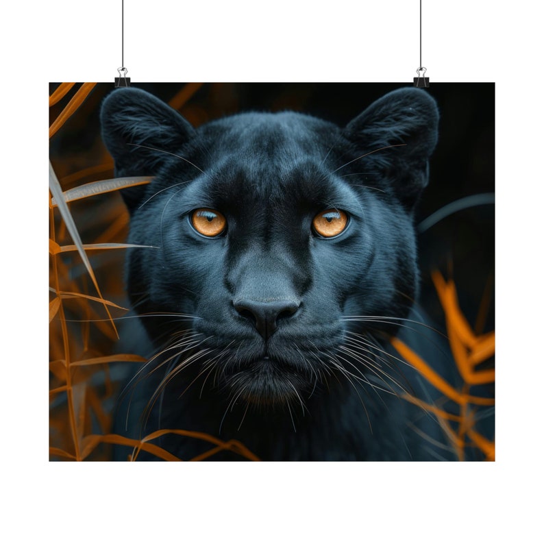 Chill Puma Poster, Exotic Animal Print, Big Cat Wall Art, Animal Lover ...