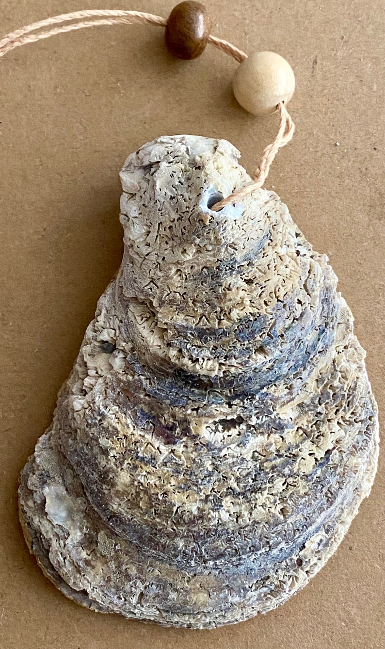 Adorable Tabby Cat Oyster Shell Ornament Unique Decoupage Gift Idea ...