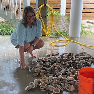 Lion Cub Jungle Theme Trinket Dish - Home Decor Accent/gift for Animal ...