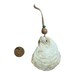 Oyster Shell Driftwood Tree With Starfish Topper - Etsy