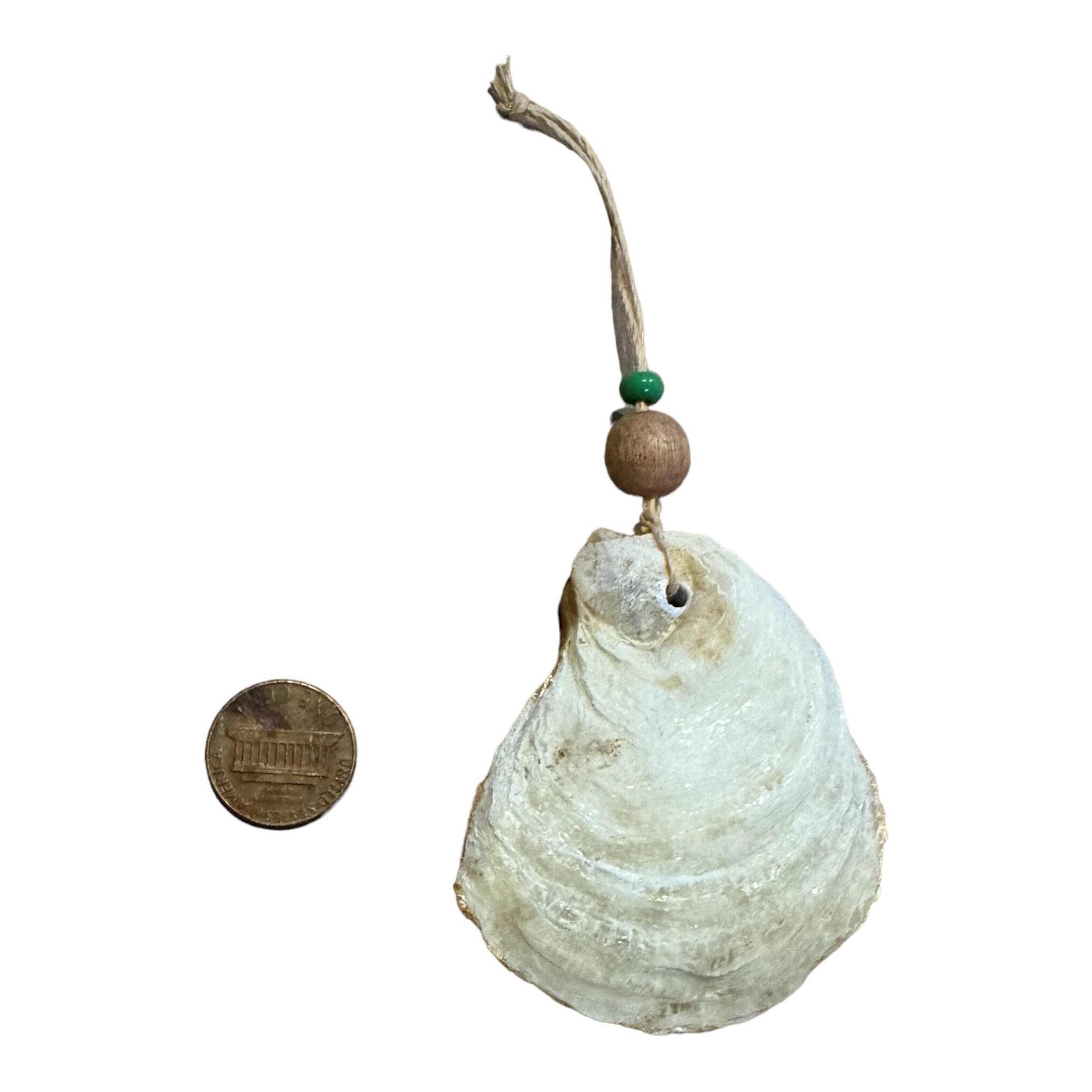 Oyster Shell Driftwood Tree With Starfish Topper - Etsy