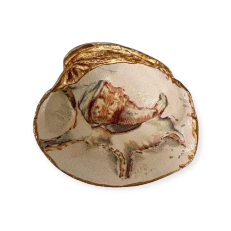 Decoupage Conch Shells - Etsy