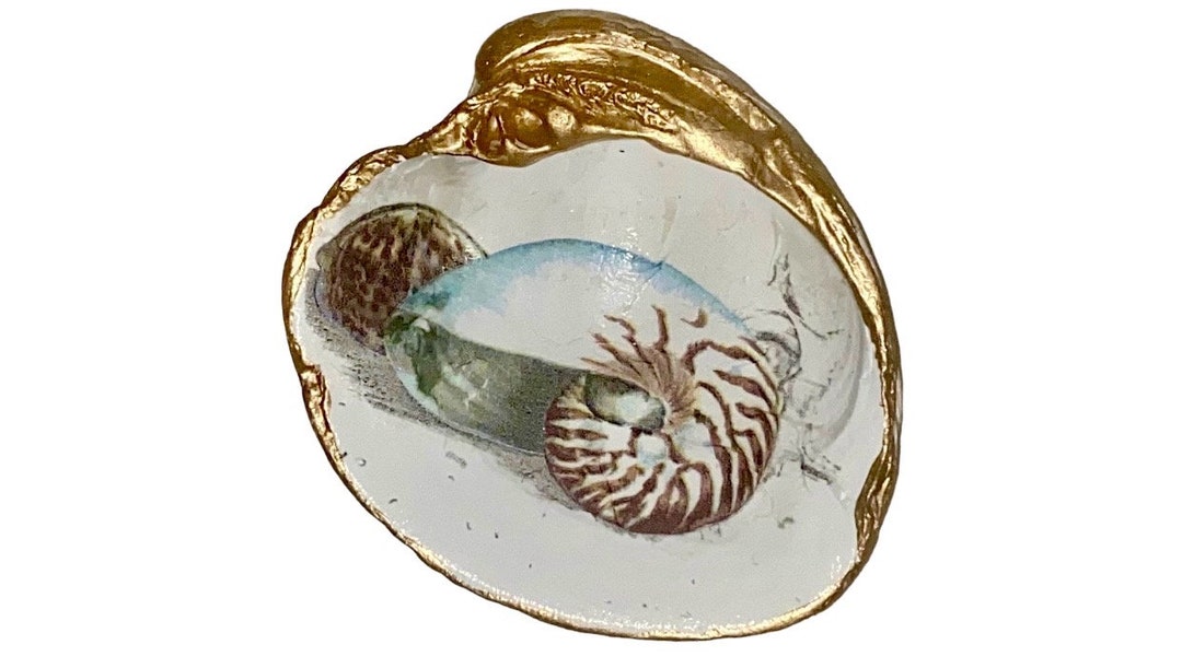 Seashell Decoupage Clam Shell With Nautilus Motif/ XL Ocean Inspired ...