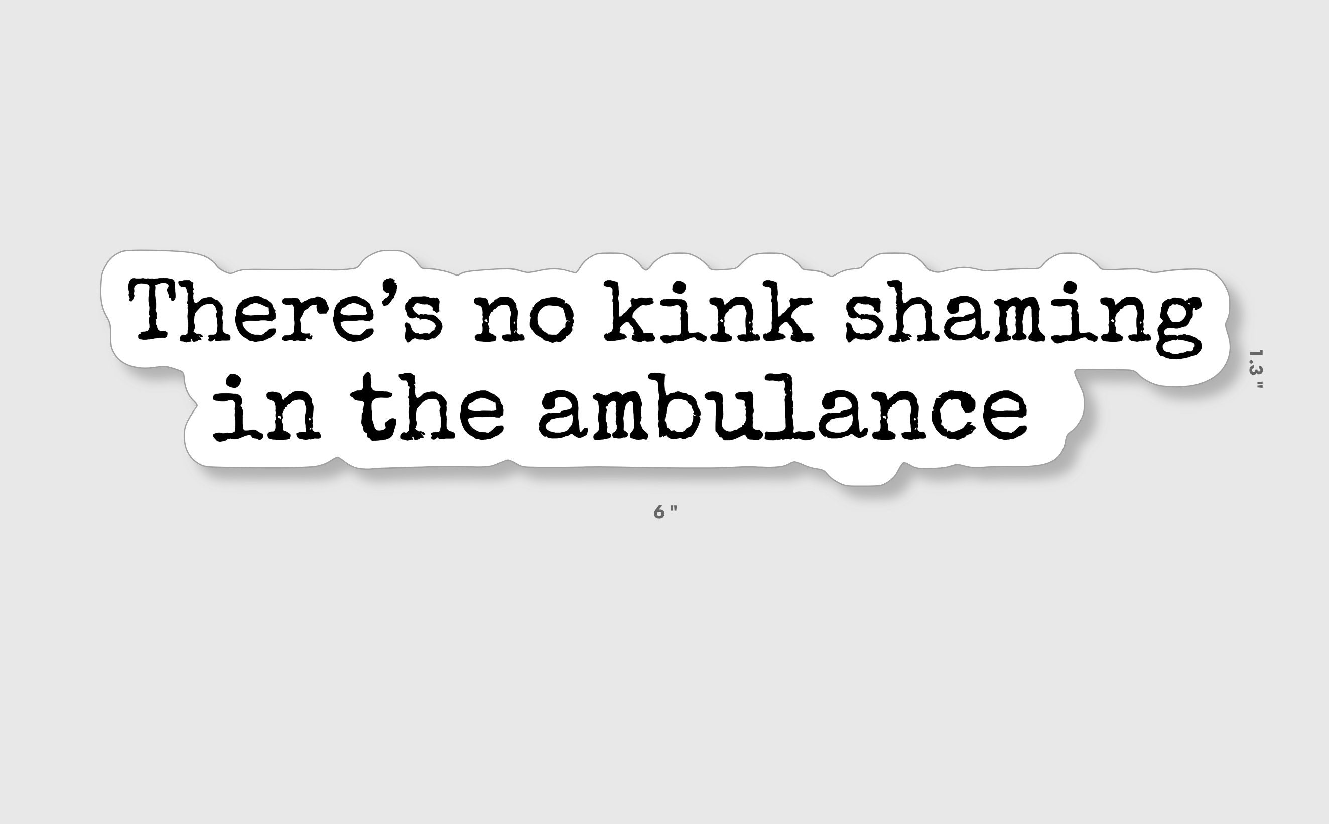 There's No Kinkshaming in the Ambulance Sticker - Etsy