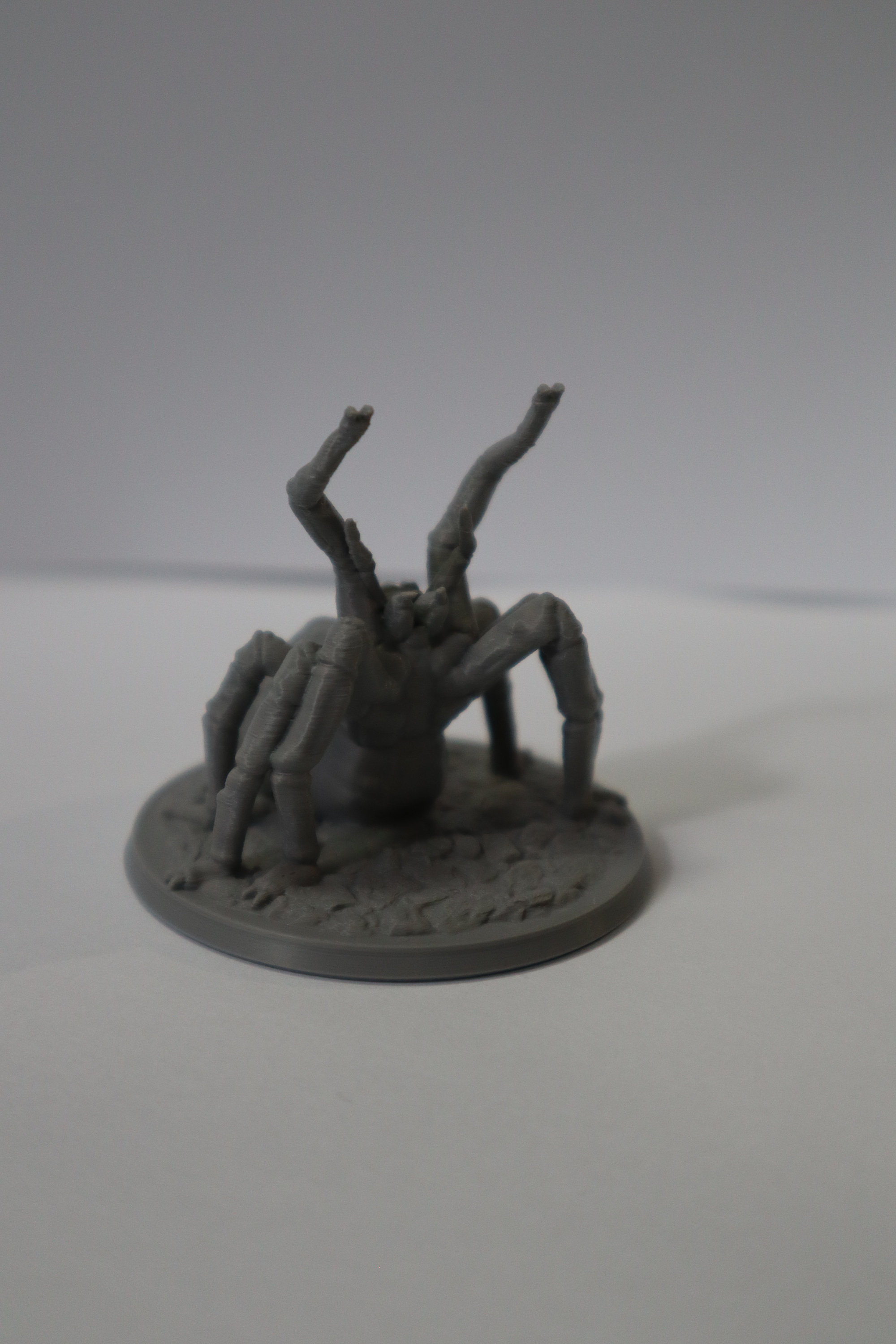 Giant Spider, 28mm, Unpainted, Brite Minis - Etsy