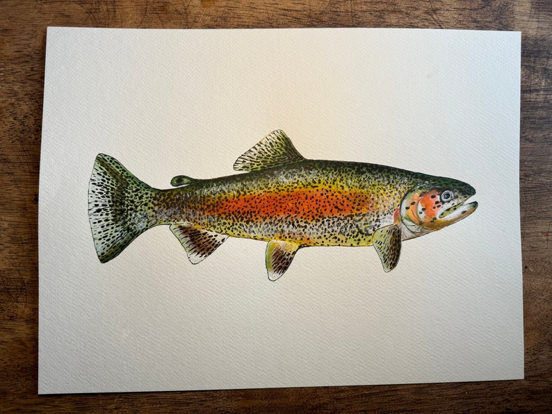 Rainbow Trout PRINTS of Original Painting - Etsy