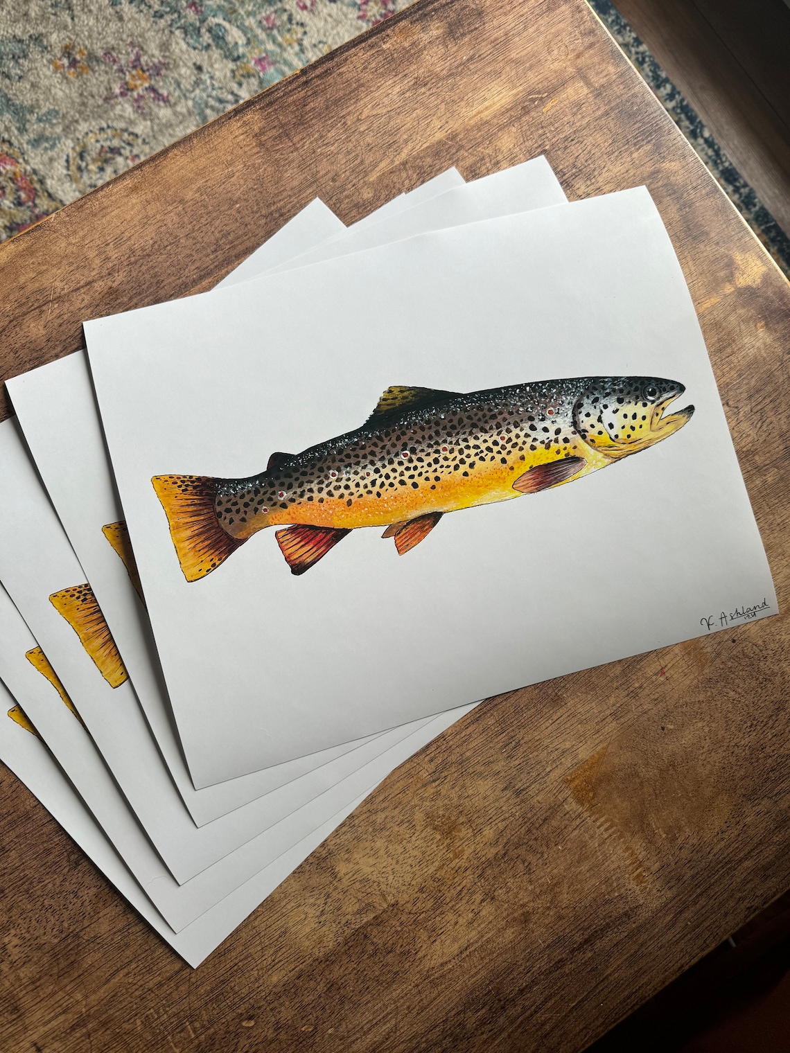 Brown Trout PRINTS of Original Painting - Etsy
