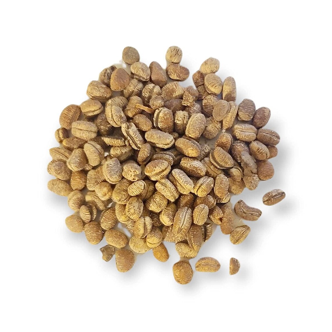 African Calabash Nutmeg (dehulled) - 6 Oz. - Etsy