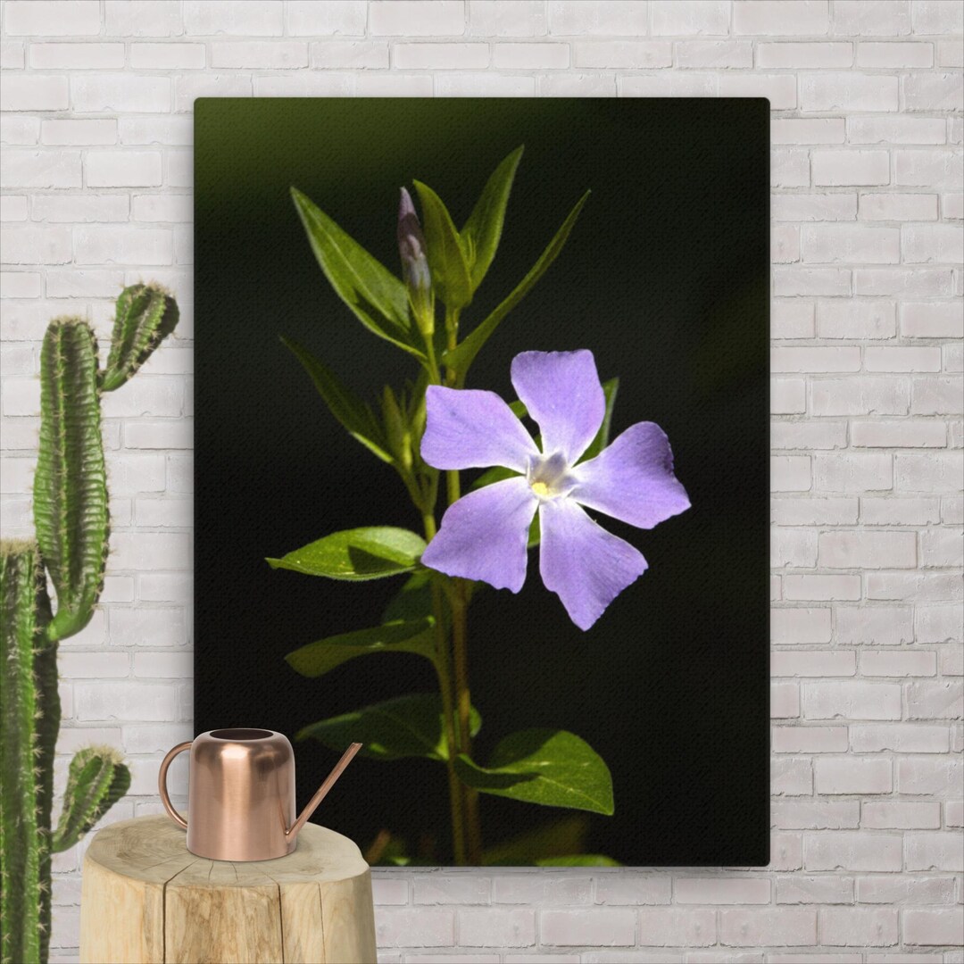 Thin Canvas Periwinkle - Etsy