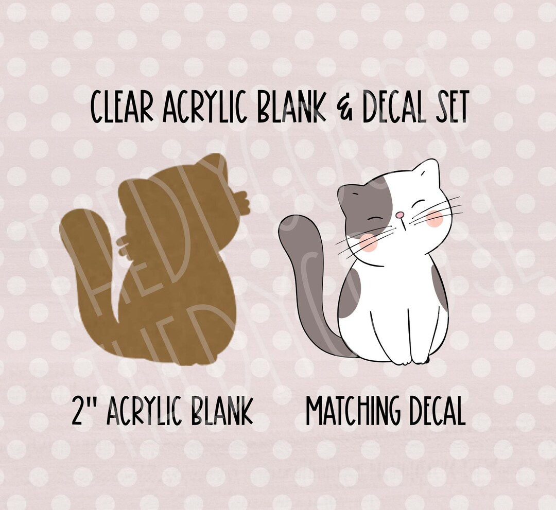 Cute Gray and White Cat Clear Acrylic Blank and Matching Decal - Cat ...