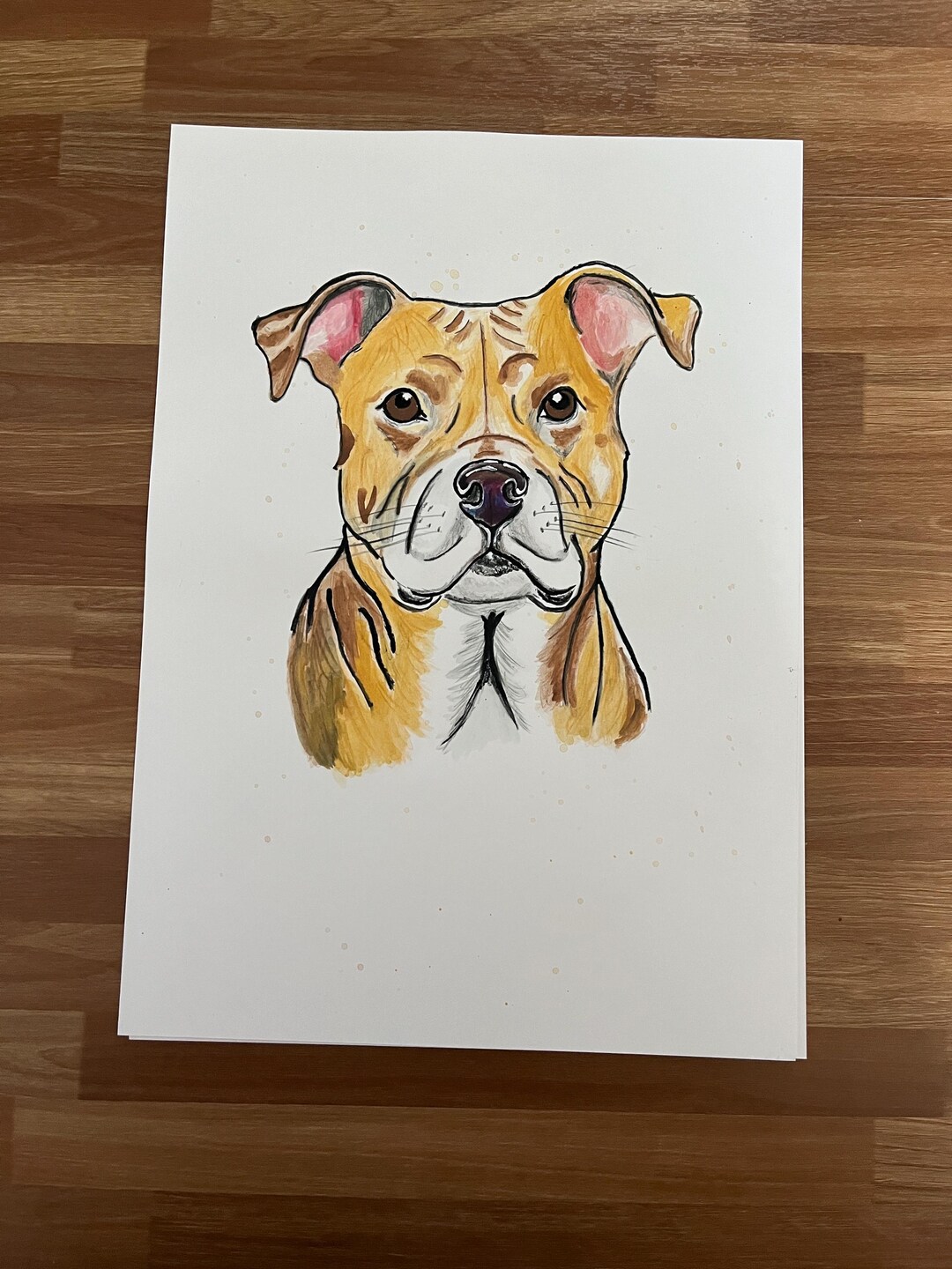 Staffy, Pet Portrait, Dog, Art, Drawing, 8x10 - Etsy