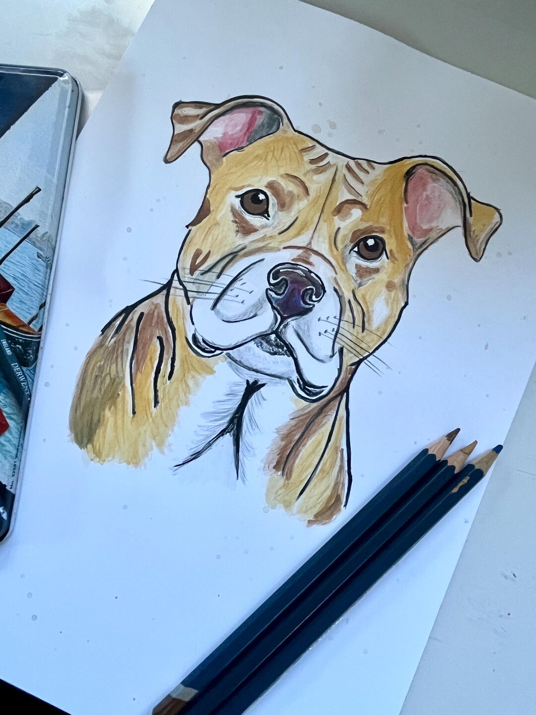 Staffy, Pet Portrait, Dog, Art, Drawing, A4 - Etsy