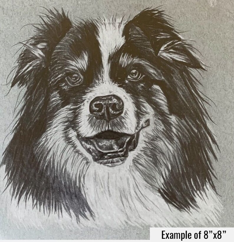 Pet Portrait Custom Drawing/ Black and White Graphite Hand Drawn ...