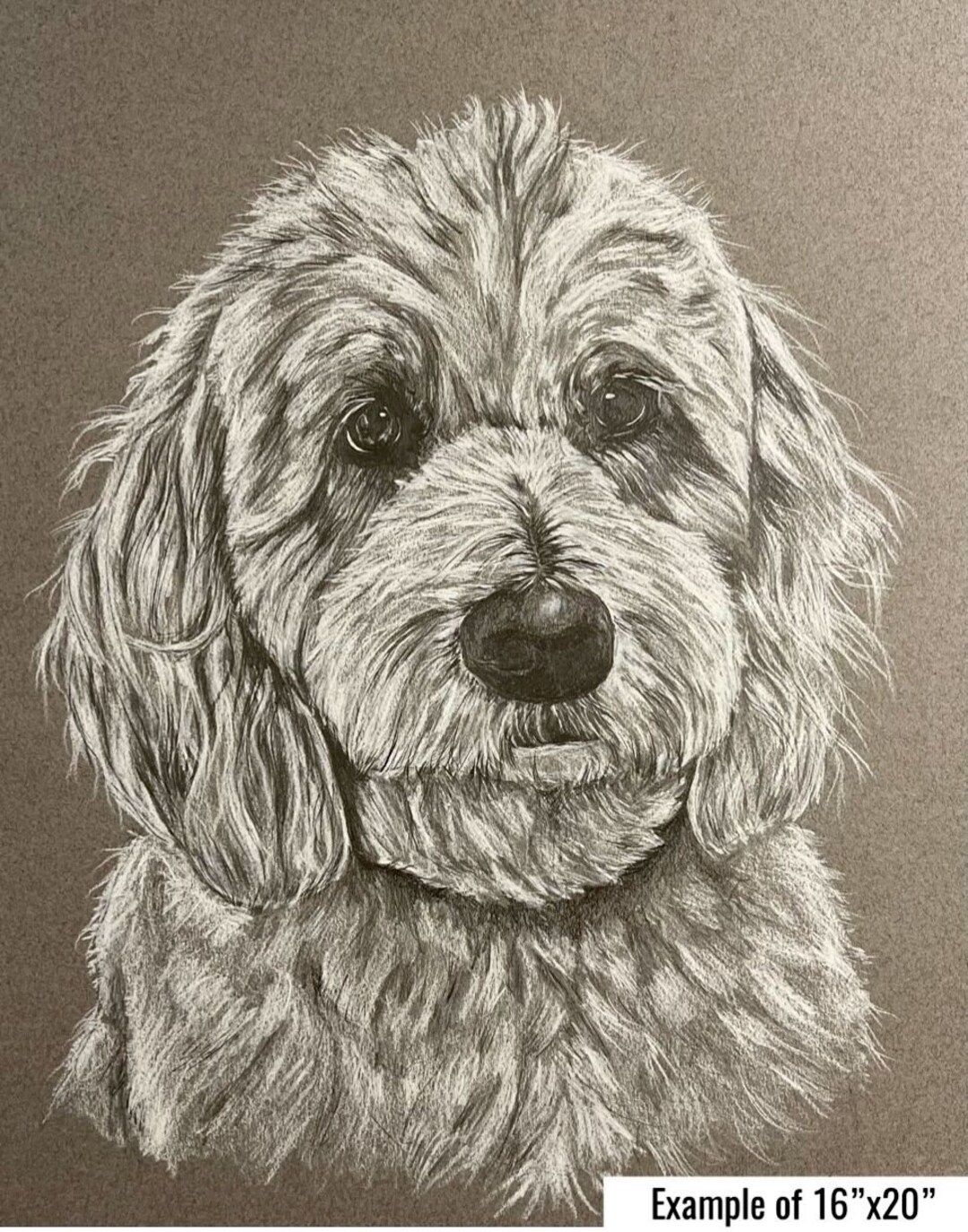 Pet Portrait Custom Drawing/ Black and White Graphite Hand Drawn ...