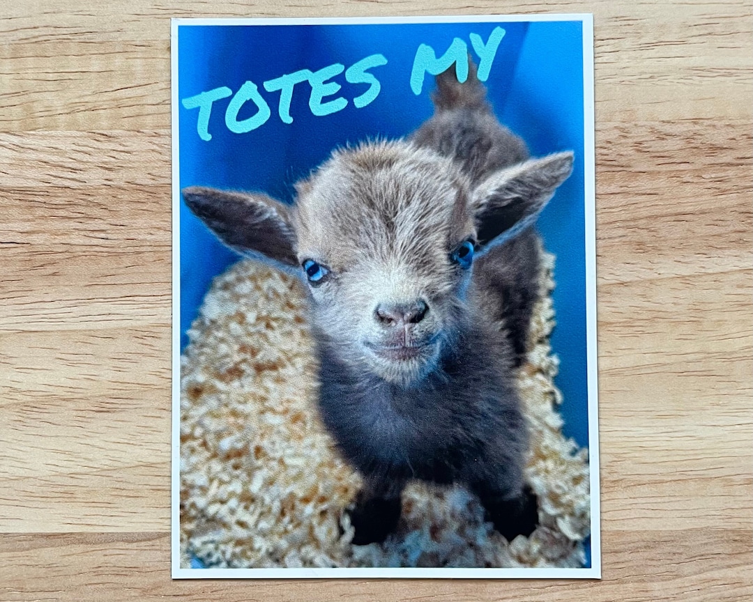 Totes My Goat 4” Photo Magnet - Etsy