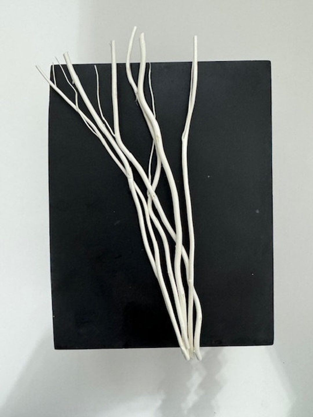 Willow Diffuser Reeds - Etsy