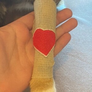 Bandage Art (euthanasia Hearts for IV Wraps) 25 Count - Etsy