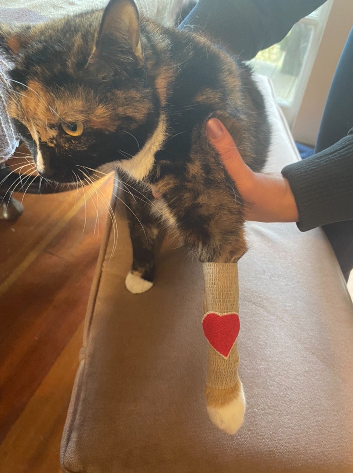 Bandage Art (euthanasia Hearts for IV Wraps) 25 Count - Etsy