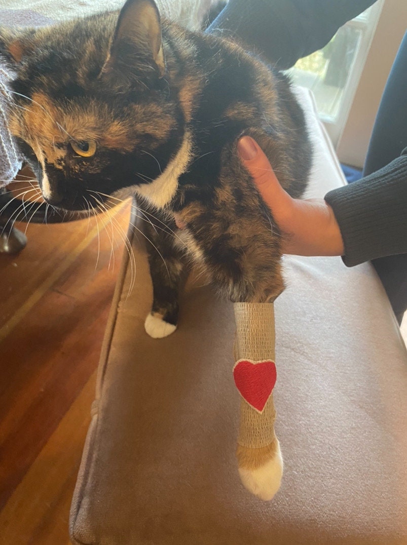 Bandage Art (euthanasia Hearts for IV Wraps) 25 Count - Etsy