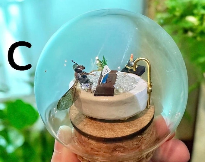 Bubble Bath Time Self Care Bug - Real Bug Cloche - Etsy