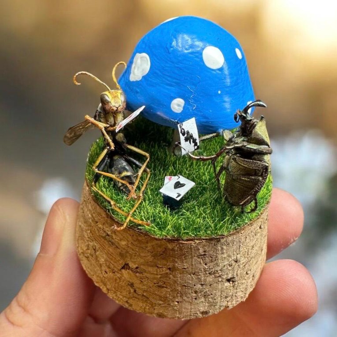 Card Playing Insects - Real Pinned Bug Mini World M - Etsy
