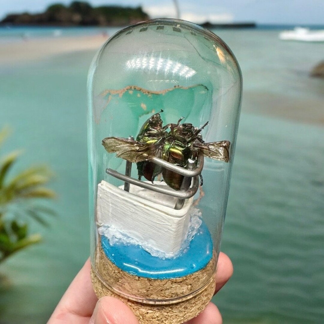 Im Flying Titanic Beetles - Etsy