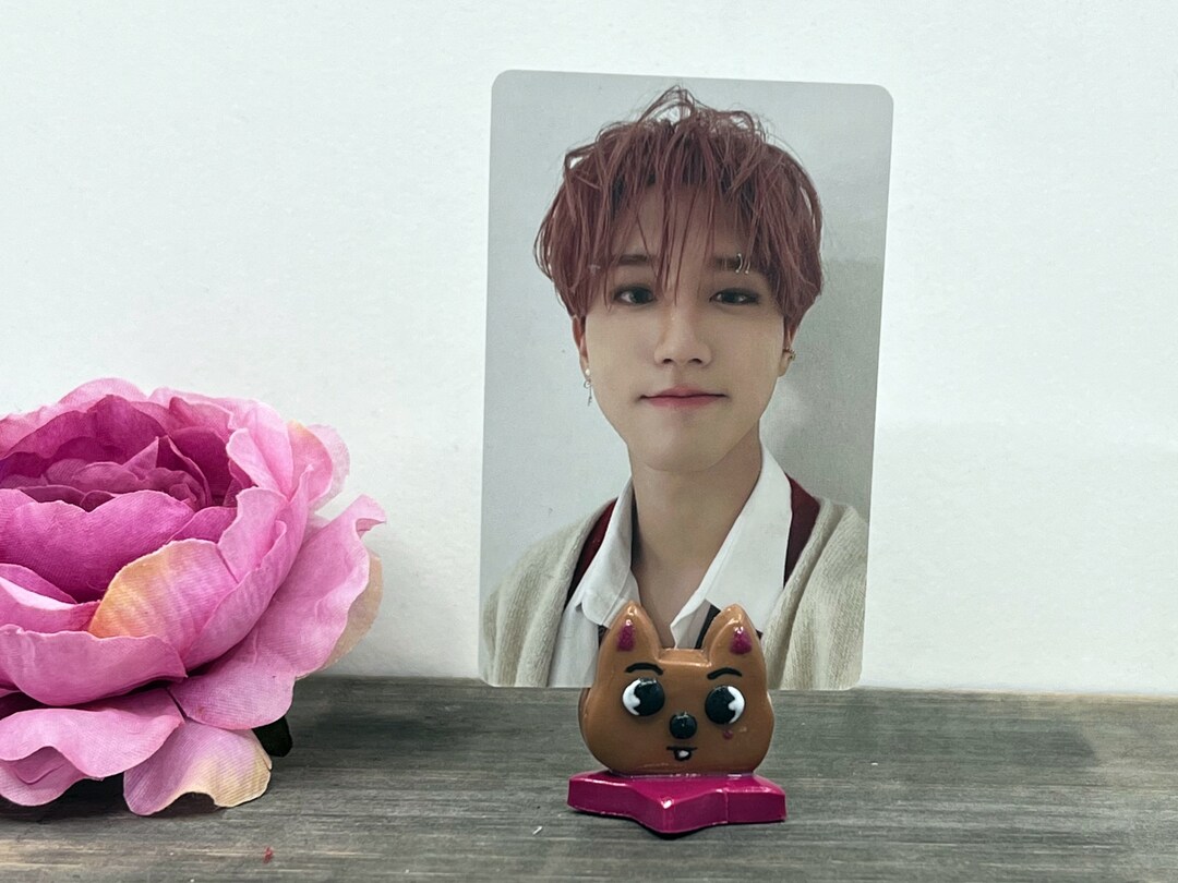 Stray Kids SKZOO Han Quokka Inspired Photocard Display - Etsy
