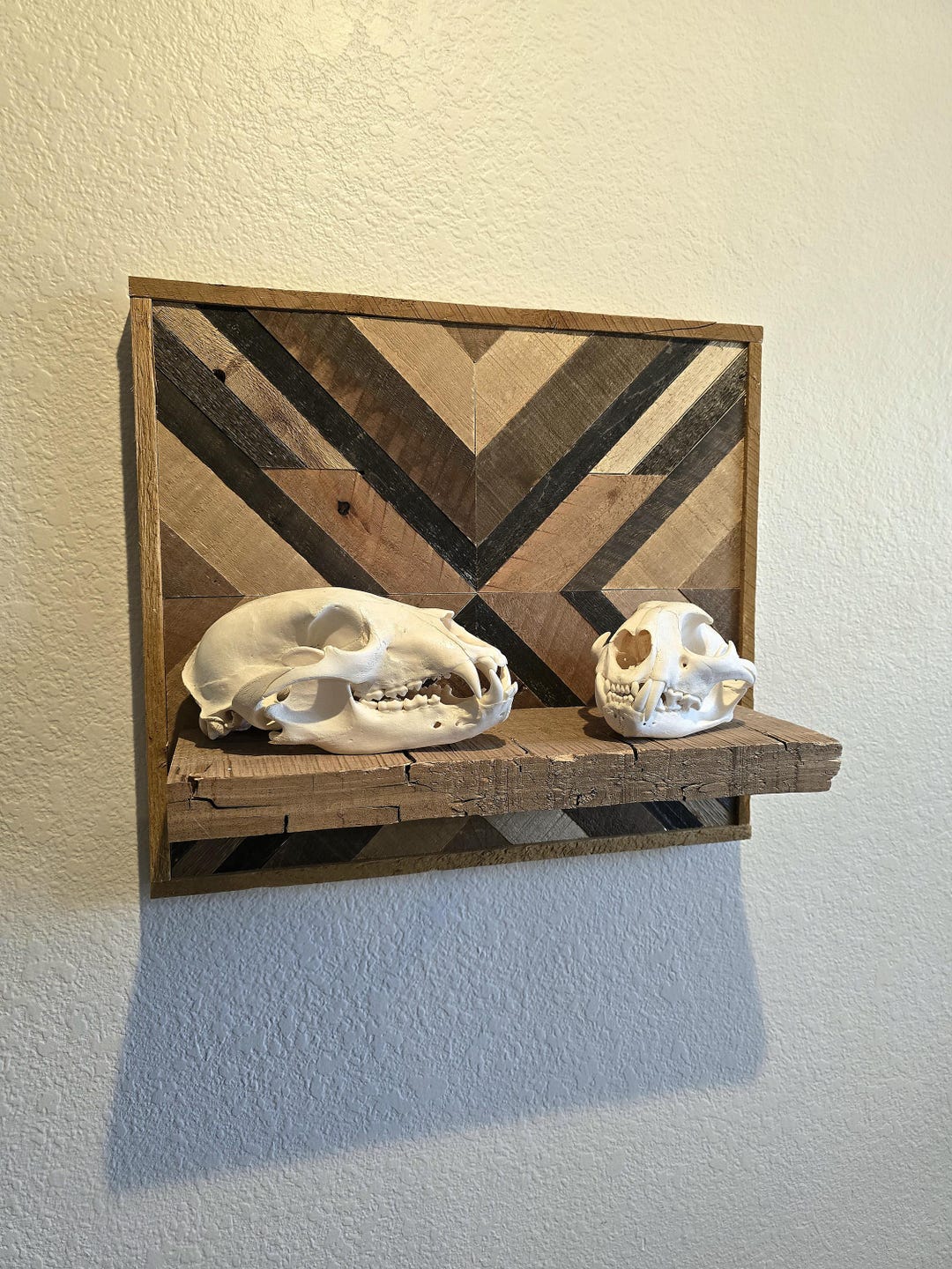 Wood Mosaic Skull Display Shelf - Etsy