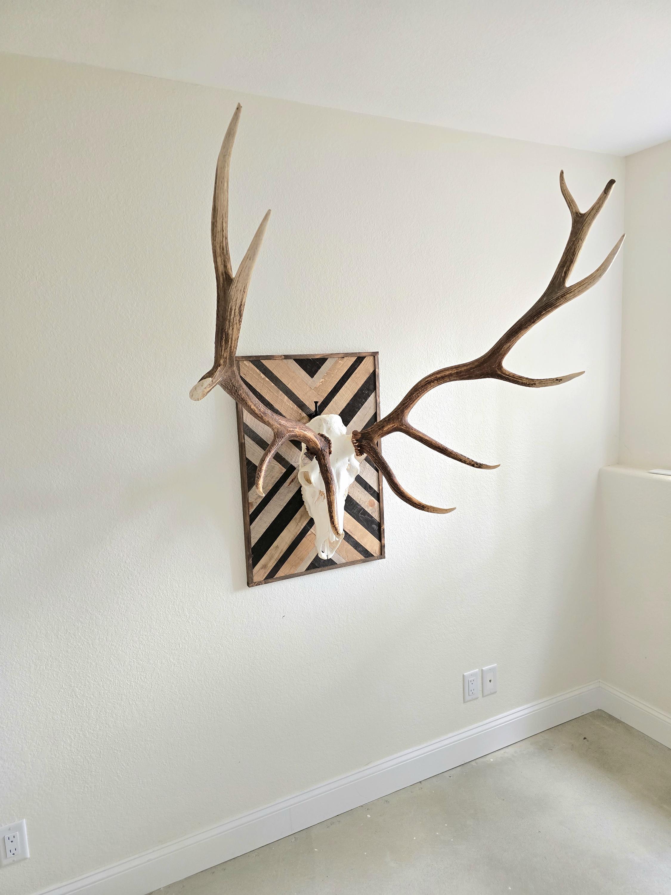 Large Elk Euro Mounting Plaque - Etsy