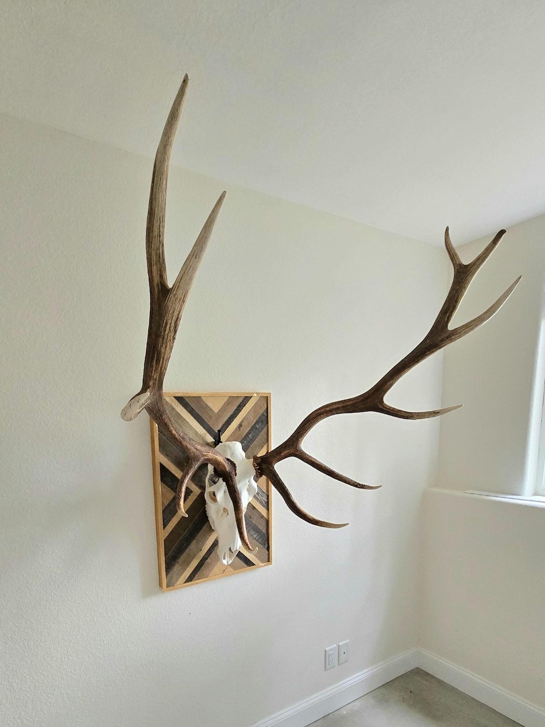 Large Elk Euro Mounting Plaque - Etsy