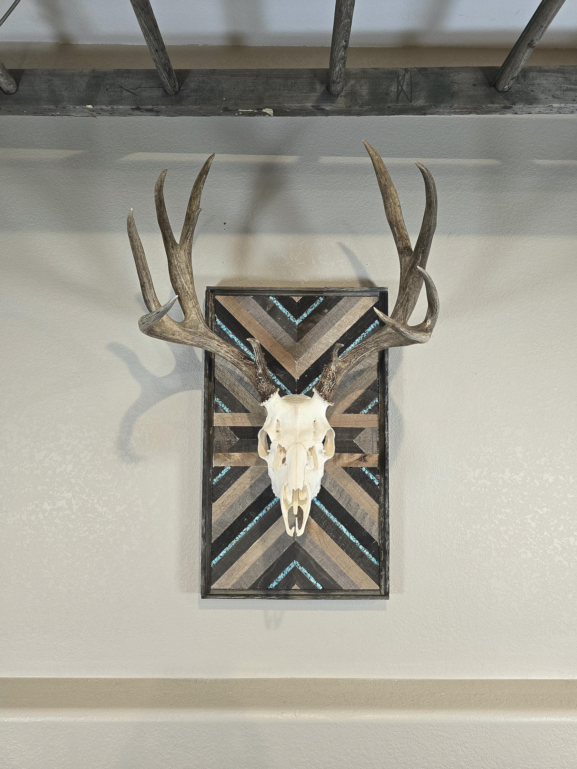 Turquoise Euro Mounting Plaque - Etsy