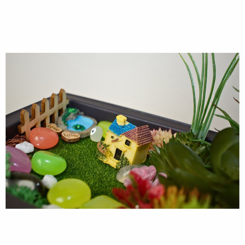 Teeny Tiny House Weeny Small Little Petite Itsy Miniscule Magic Micro ...