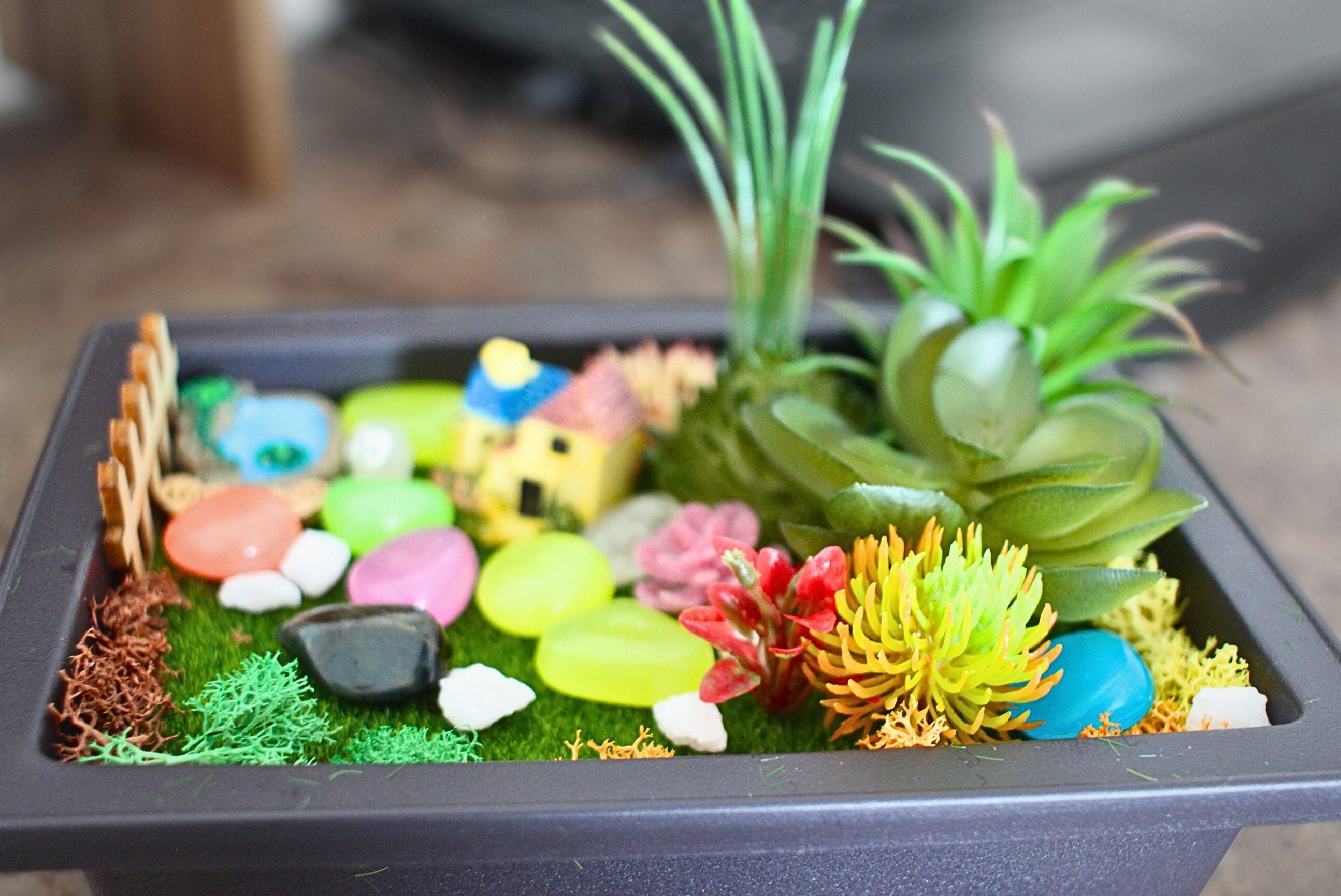 Teeny Tiny House Weeny Small Little Petite Itsy Miniscule Magic Micro ...