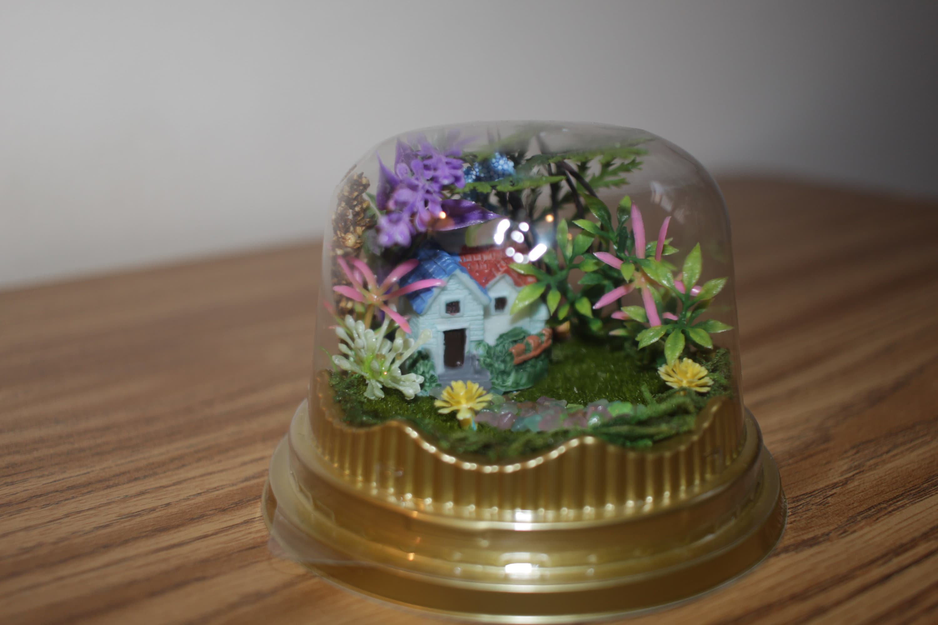 Teeny Tiny House Weeny Small Little Petite Itsy Miniscule Magic Micro ...