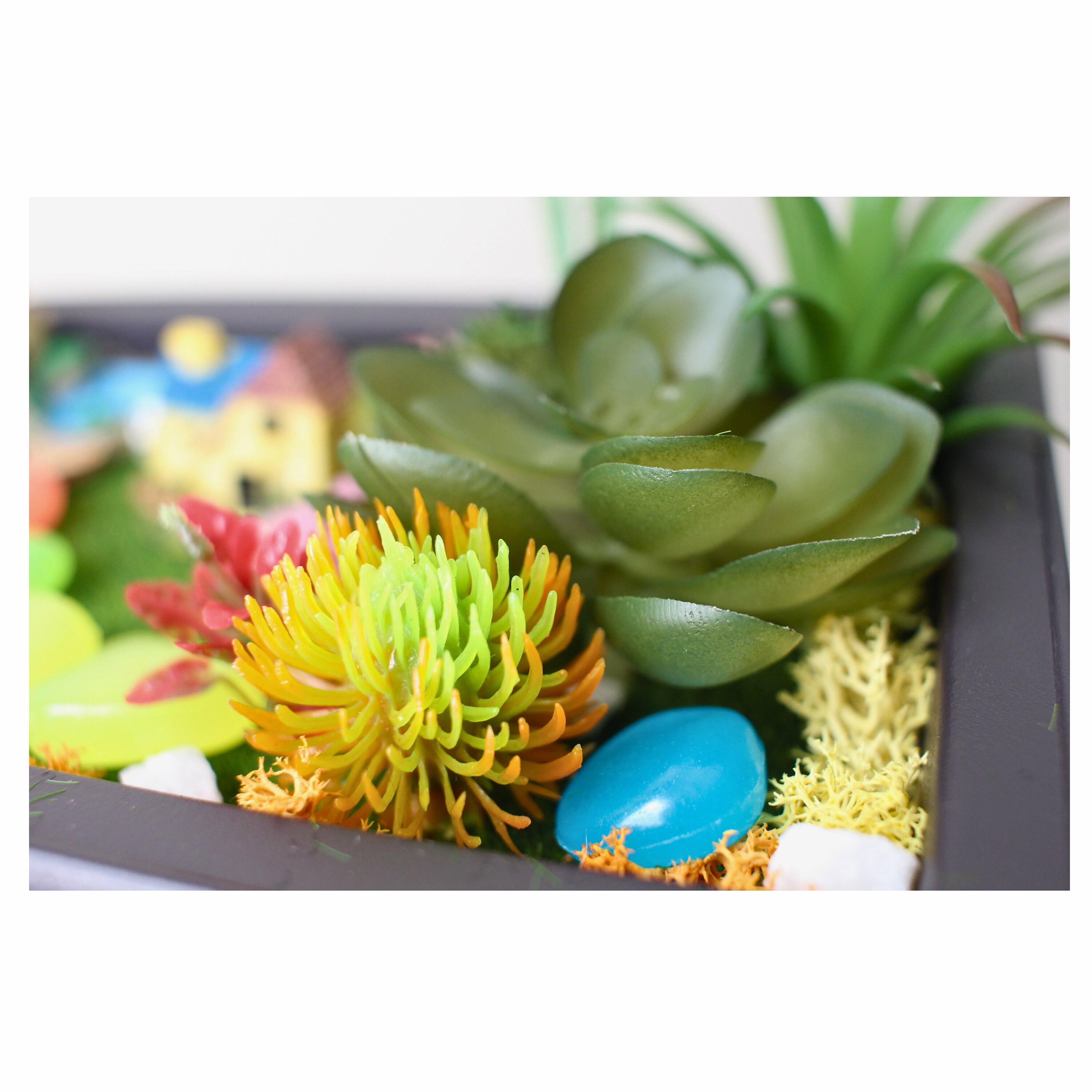 Teeny Tiny House Weeny Small Little Petite Itsy Miniscule Magic Micro ...