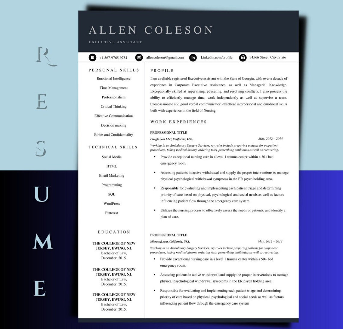 Professional DIY Resume Template, Create Your Resume With Ease, High ...