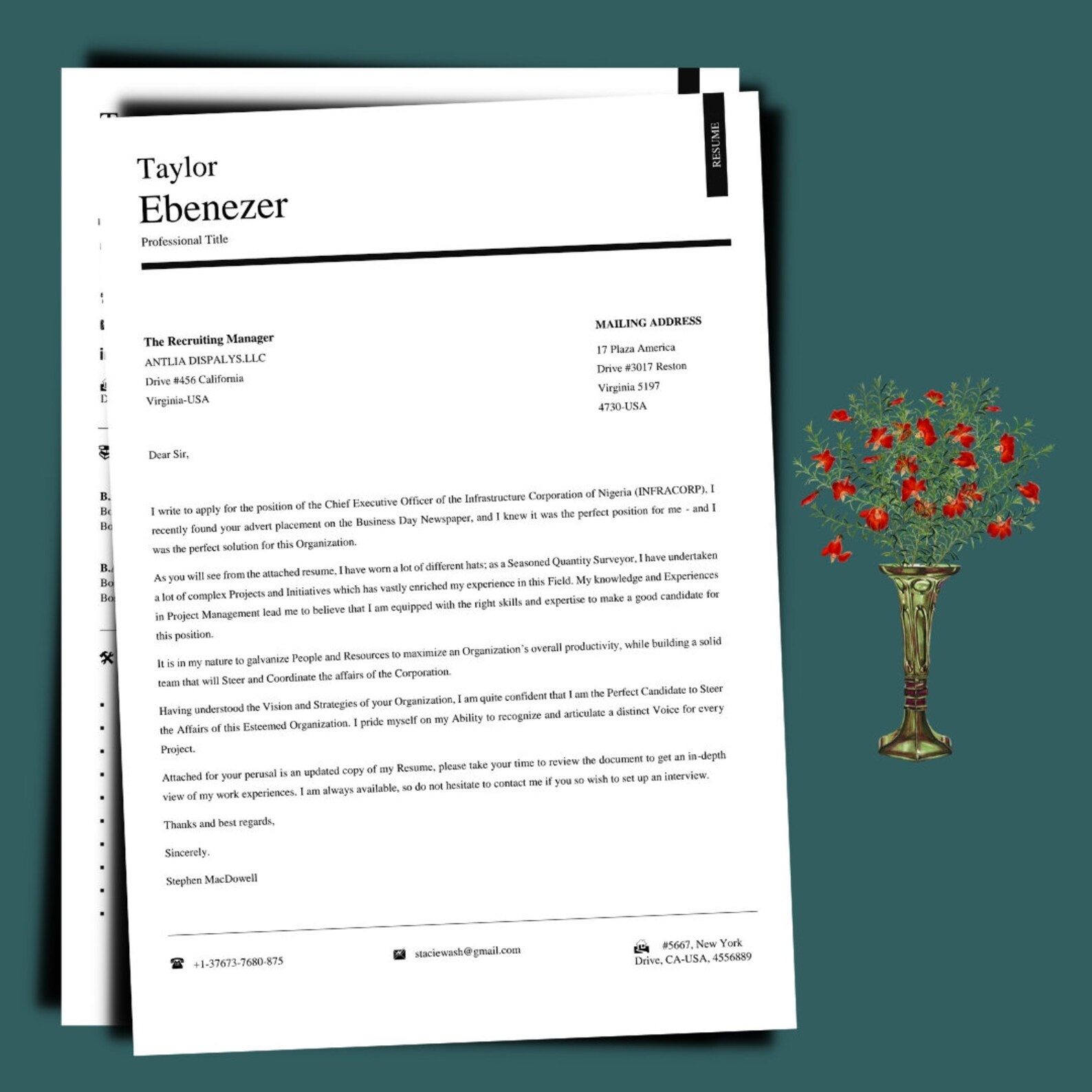 Smart Pro Resume Template, Simple Professional Resume Template, Instant ...