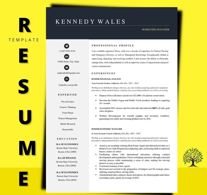 Simple Resume Update Template, Word Editable Resume Template, Matching ...