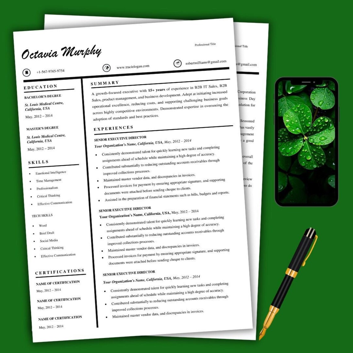 Simple Resume Template, Smart Resume Template, Professional Word Resume ...