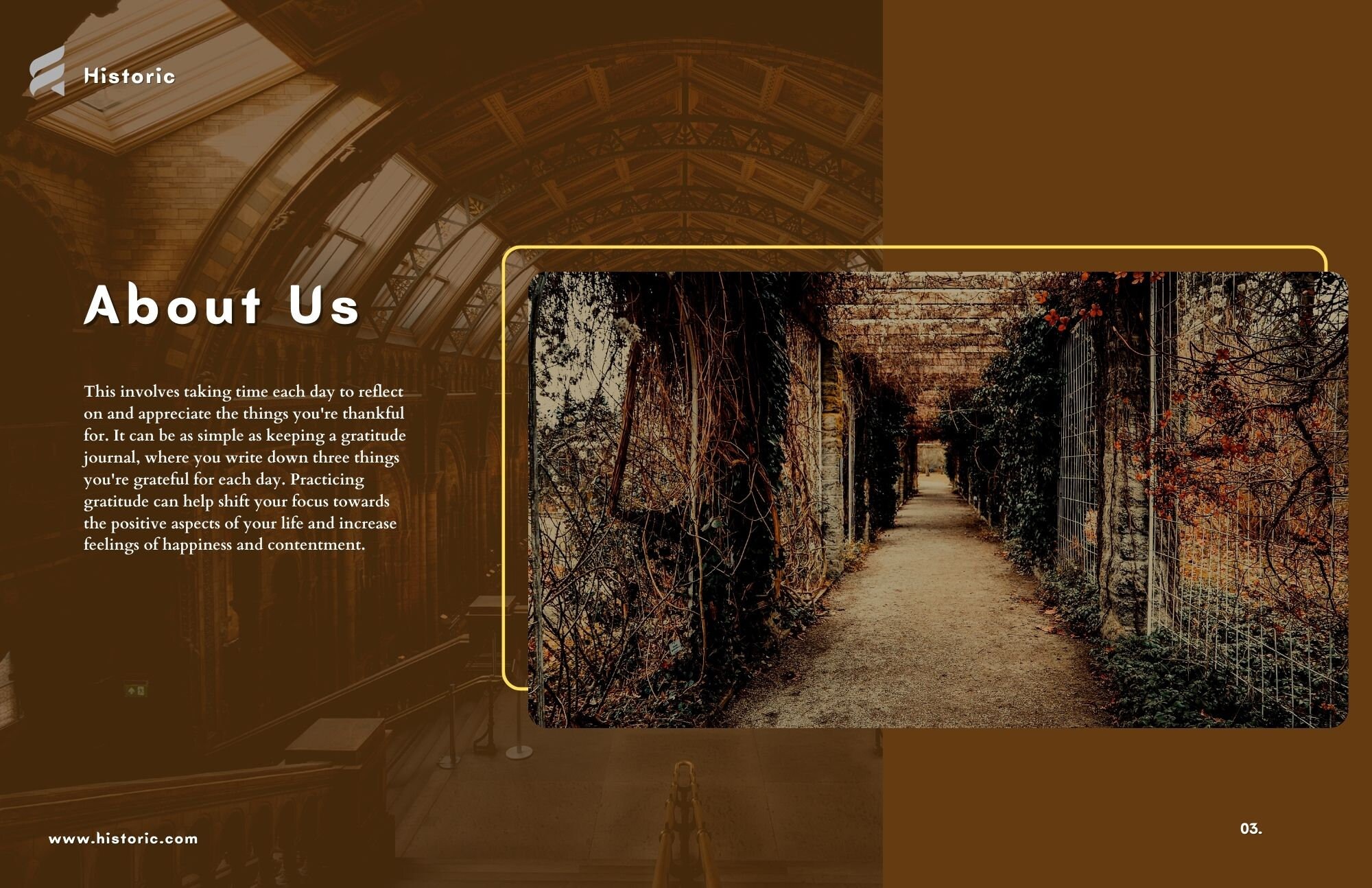 Unique Canva Brochure Template for Any Industry, History Brochure ...