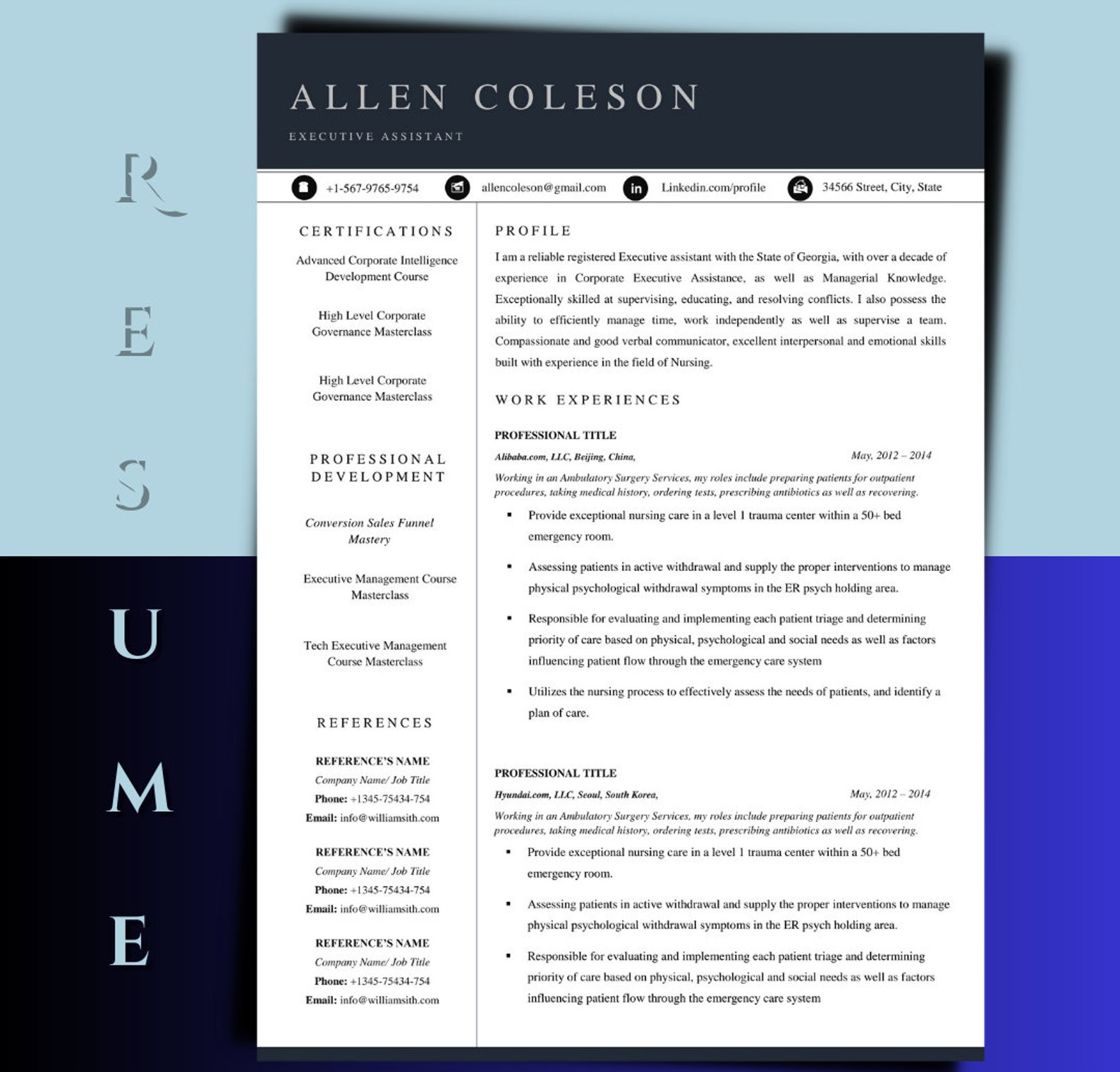 Professional DIY Resume Template, Create Your Resume With Ease, High ...