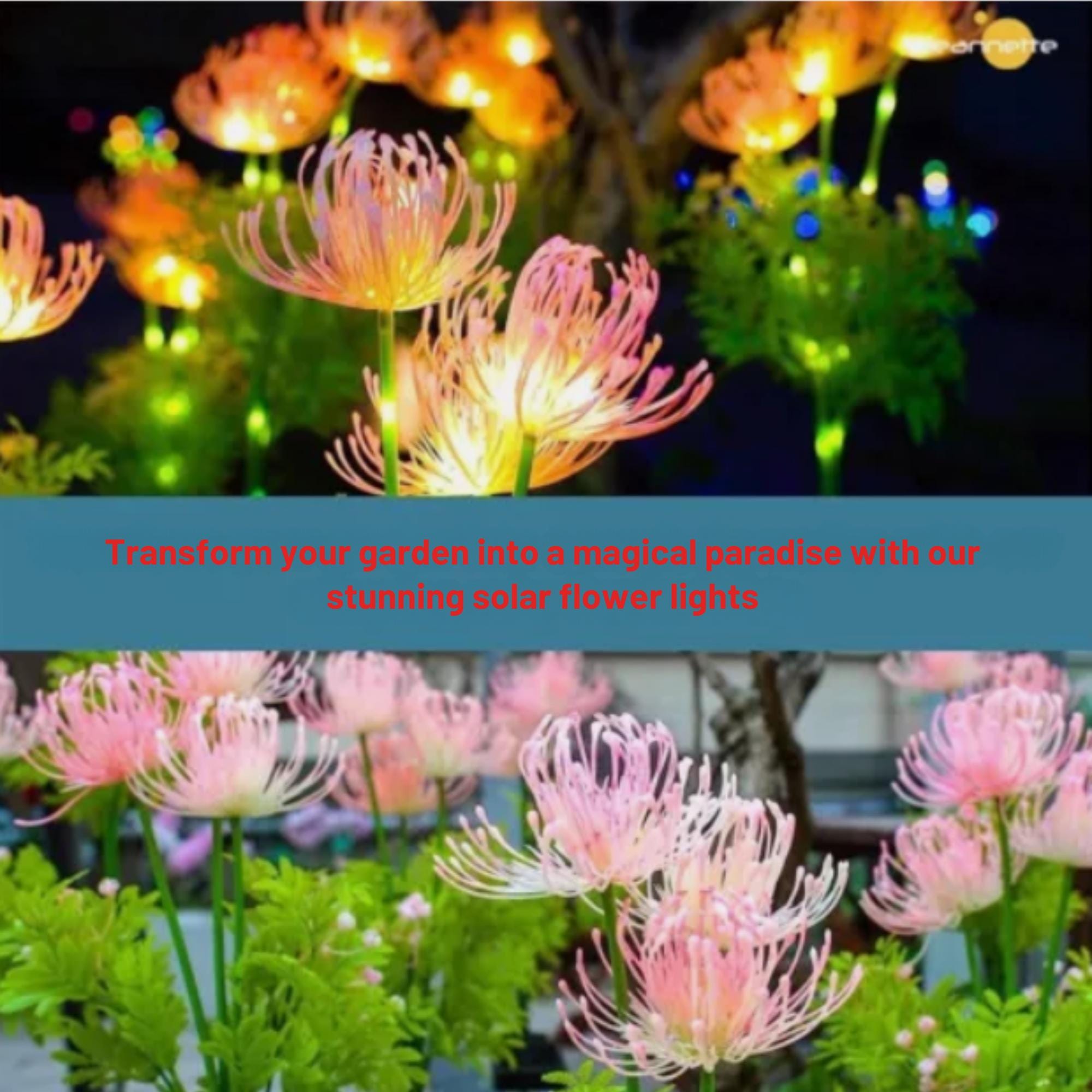 Solar Pink Flower Garden Light – LED Waterproof Outdoor Yard Stake Lamp ...
