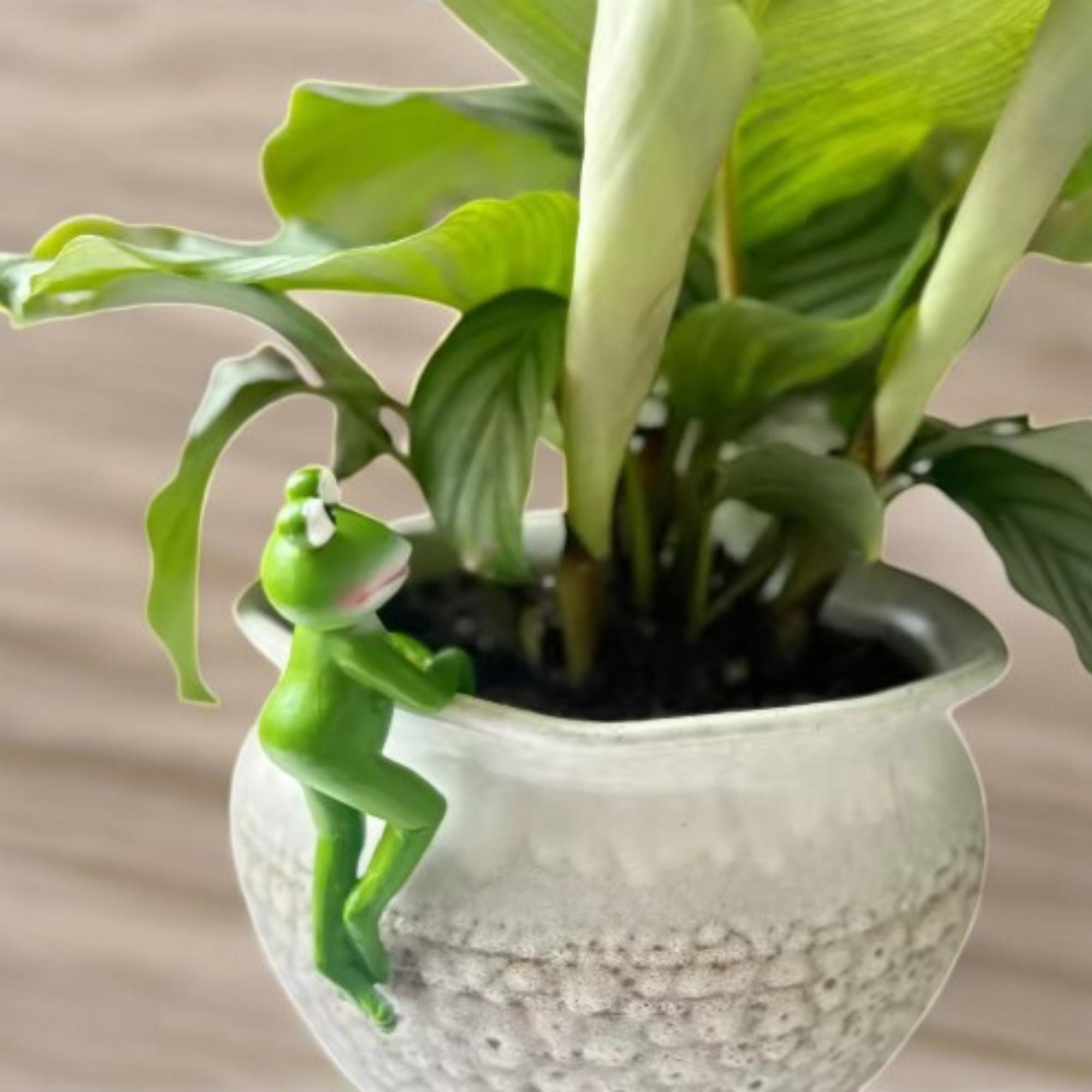 Cute Hanging Frog Pot | Resin Planter Decoration | Cartoon Frog Bonsai ...