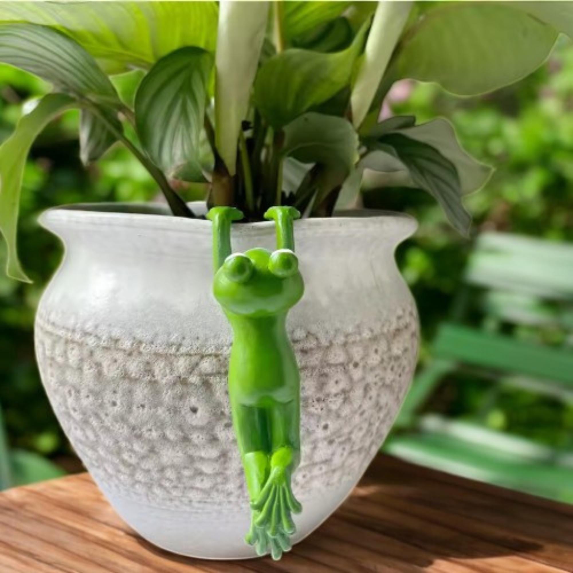 Cute Hanging Frog Pot | Resin Planter Decoration | Cartoon Frog Bonsai ...