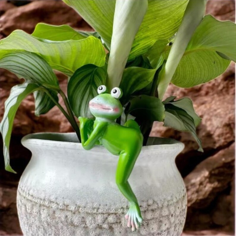 Cute Hanging Frog Pot | Resin Planter Decoration | Cartoon Frog Bonsai ...