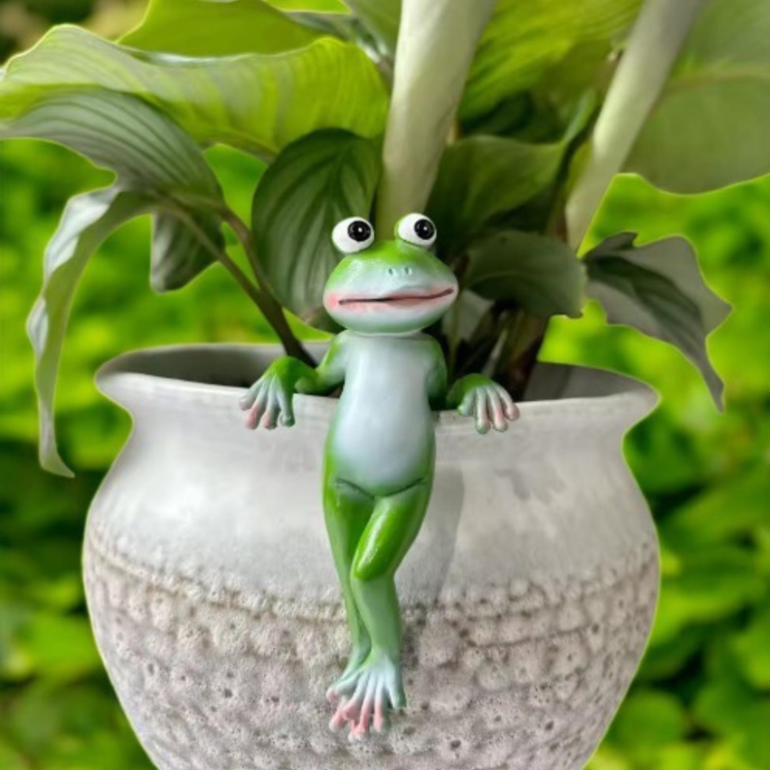 Cute Hanging Frog Pot | Resin Planter Decoration | Cartoon Frog Bonsai ...
